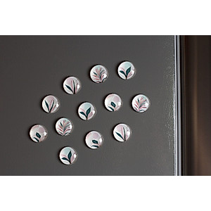 12 Pack Multicolor Plant Fridge Magnet Set, Strong Refrigerator Magnets for Whiteboard, Cute Magnets for Lockers, Neodymium Magnet Backing