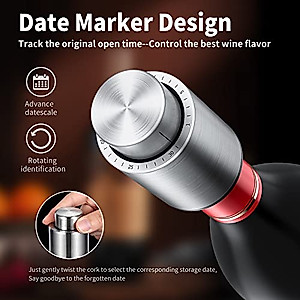 Wine Bottle Stoppers，2-in-1 Vacuum Wine Stopper，Stainless Steel Wine Savers, Reusable Wine Preserver, Vacuum Pump Corks Keep Wine Really Fresh, Best Gift Accessories,Hanlomele(1 Pack) (Silver)