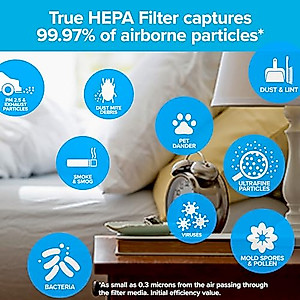 Filtrete™ Advanced Allergen, Bacteria & Virus True HEPA Air Purifier Filter, FAPF-HM-K, 1 Pack