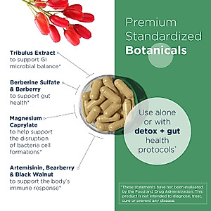 Designs for Health GI Microb-X - Botanical Gut Support, Cleanse + Detox Supplement with Tribulus, Berberine + Barberry Extract - Vegetarian + Non-GMO (120 Capsules)