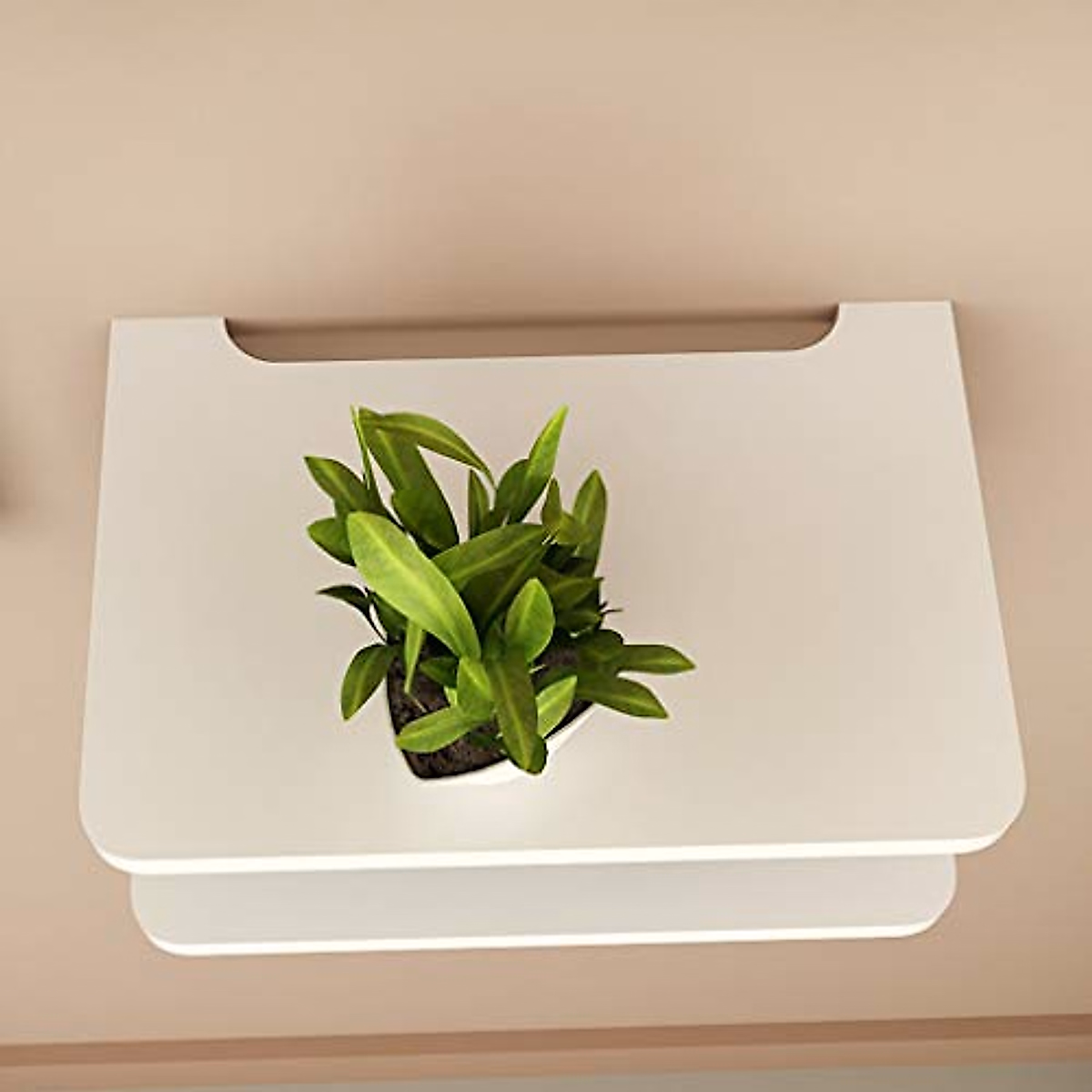 LXYFMS Wall Mount Bracket TV Box Set-top Box Modem Cable Box for WiFi Router DVD Player Streaming Device Router Rack (Color : White)