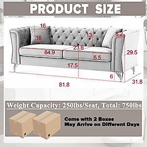 lunhung 81" Chesterfield Velvet Sofa for Living Room,3-Seater Sofa Tufted Couch with Golden Metal Legs & Nailhead,2 Pillows, Rolled Arms Sofa for Living Room,Bedroom,Office,Apartment (Grey)
