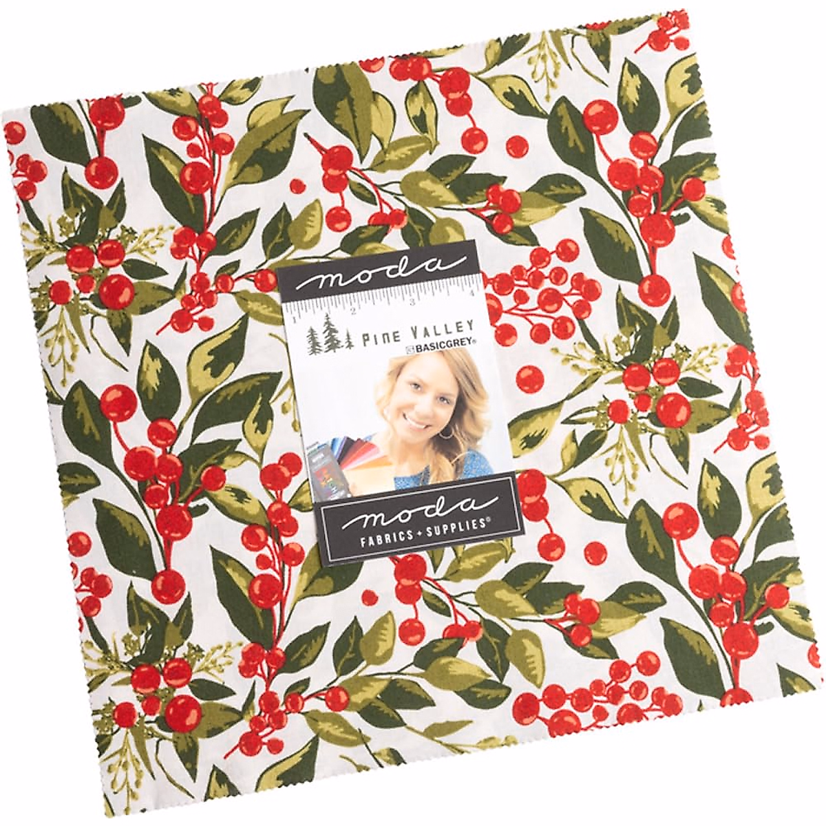 Moda Fabrics Pine Valley Layer Cake by Basic Grey 30740LC