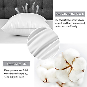 FAVRIQ 20 x 20 Throw Pillow Inserts with 100% Cotton Cover Square Cushions for Chair Bed Couch Car Down Alternative Pillow Form Sham Stuffer Decorative Pillow Insert White Sofa Pillow (Set of 2)