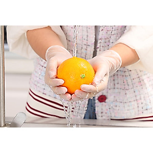 EDI Disposable Vinyl Gloves (Clear) - Powder-Free, Latex-Free (100, Medium)