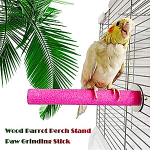 Bird Perch Bird Stand Platform Toy, Natural Wood Parrot Perch Paw Grinding Stick, Bird Cage Accessories Exercise Toys for Pet Parrot Budgies Parakeet Cockatiels Conure Lovebirds Rat Mouse Hamster