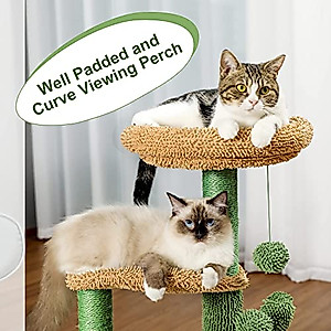 PAWZ Road Cat Tree 32 Inches Cactus Cat Tower Bundle with 23 Inches Cactus Cat Scratcher Featuring with 3 Scratching Poles