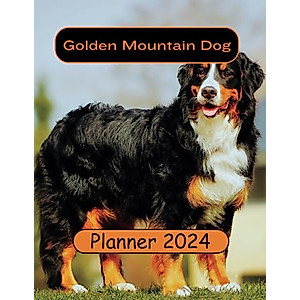 Golden Mountain Dog Planner 2024