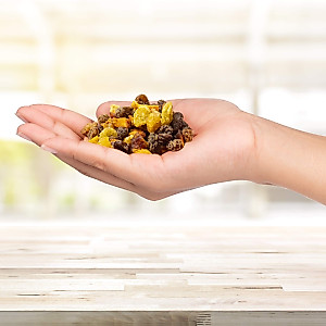 Traina Home Grown Baker’s Fruit Medley - Diced Peaches, Cranberries, Apricots, Pears, Nectarines, and Raisins - Non GMO, Gluten Free, Value Size (20 oz)