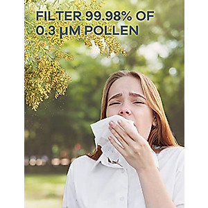 Ganiza Air Purifiers for Home Large Room Pets Dander Pollen dust allerg*ns Smoke, 23dB Less Noise, Ozone Free, H13 HEPA Filter