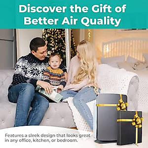 Alen BreatheSmart Classic H13 HEPA Air Purifier, Air Purifiers For Home Large Room w/ 1100 SqFt Coverage, Medical-Grade Air Cleaner for Allergens & Dust, up to 12 Mos. Filter Life, Graphite