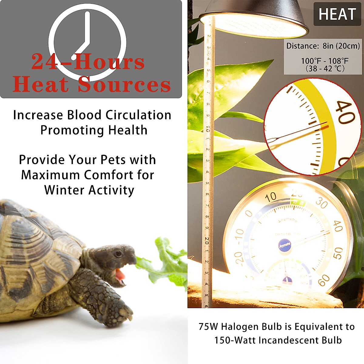 ExoRepti Reptile Heat Lamp Bulb Greenhouse Warming Bulb Reptile Light for Lizard, Turtle, Bearded Dragon, Hedgehogs, Snake Amphibians, Chicks, With 2 Bulb Beads (75 Watt). New Replaceable Bulbs Design