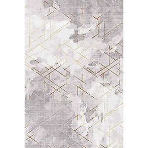 FINOREN Abstract Gold Line Area Rugs for Living Room,Bedroom,Hallway,Dining Room,Non-Shedding,Non Slip Backing,Floor Decoration Carpets,Gray-White,5'x7'