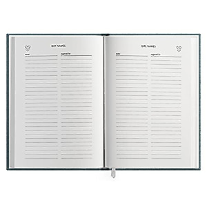 The Pregnancy Journal for Expecting Moms: Beautiful and Modern Pregnancy Planner, Organizer and Memory Book Album for Mom and Baby - Pregnancy and Baby Journals for First Time Moms