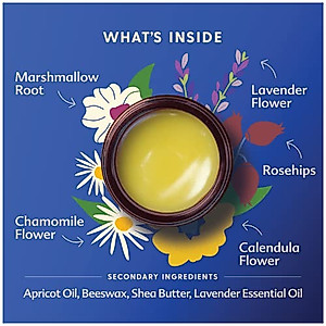 Motherlove Pregnant Belly Salve (4 oz) Herbal Balm to Soothe Itchy Skin & Prevent Stretch Marks—Non-GMO & Organic Herbs