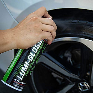 Renegade Products Lumi-Gloss Aerosol High Shine Spray for Plastics, Tires, Undercarriage & More, 13 Oz