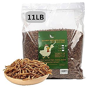 HANDPOINT 11 lbs Dried Mealworms, 100% Non-GMO Natural High-Protein,Treats for Chicken, Fish, Bird Food(11LB)
