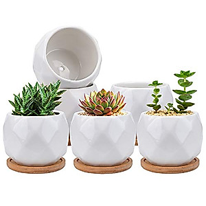 Jucoan 6 Pack Ceramic Succulent Planter Pot with Bamboo Tray, 4 Inches Small White Diamond Shaped Cactus Herb Flowers Planter with Drainage Hole