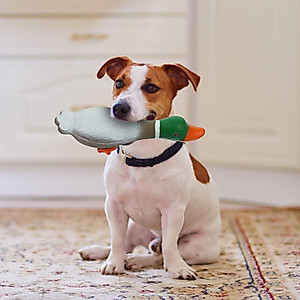 POPETPOP Dog Squeak Toy, Latex Duck Puppy Chew Toy Dog Teething Cleaning Toy Cute Dog Biting Toy Pet Mallard Duck Toy Interactive Plaything for Small Medium Dogs