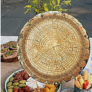 Havercamp Cut Timber 10" Party Plates (24 plates)! 24 Lg. Round Dinner Paper Plates from the Cut Timber Party Collection.