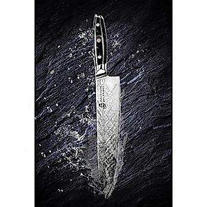 TUO Chef Knife - Kitchen Knives 10-inch High Carbon Stainless Steel - Pro Chef Vegetable Meat Knife with G10 Full Tang Handle - Black Hawk S Knives Including Gift Bo