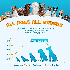 Dog Multivitamin Chewable with Glucosamine,15-in-1 Dog Multivitamin Supplements,Multivitamin for Dogs,Health Support - Dog Skin, Coat, Heart,for Dogs of All Ages and Breeds,120 Soft Chews Duck Flavor