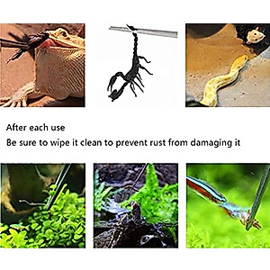 YOGURTCK Stainless Steel Long Reptile Tweezers Feeding Tongs for Snake Lizards Gecko and Bearded Dragon Leopard Spider Terrarium Supplies 2pcs - Silvery
