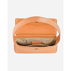 TIJN Shoulder Bags for Women Cute Hobo Tote Handbag Mini Clutch Purse with Button Closure Crossbody Bags for Women Girls