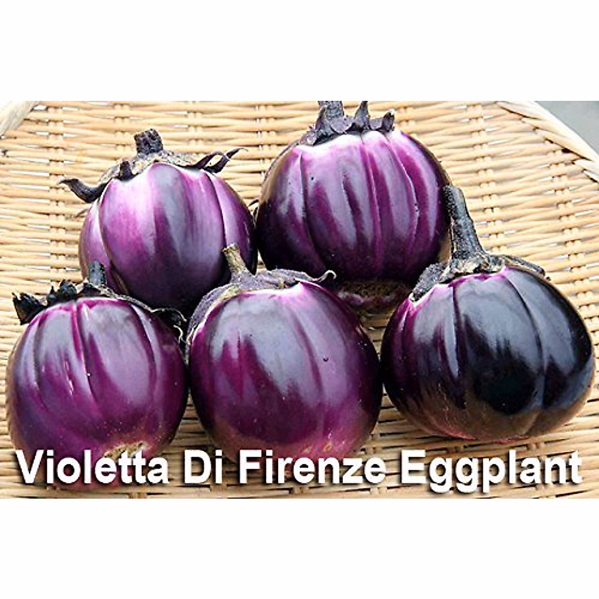 Please Read! This is A Mix!!! 30+ Eggplant Mix Seeds 11 Varieties Heirloom Non-GMO Aubergine, Asian, European, Italian, Profilic, Super Delicious, from USA