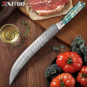 XT XITUO Butcher Knife – 10″ Cimitar & Breaking Knife Knife – Japanese VG-10 Damascus Steel – Full Tang & Razor Sharp – Ergonomic Abalone Shell Handle Design -Dazzling Series