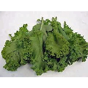 Mustard Greens Seed, Southern Giant, Heirloom, Non GMO, 25+ Seeds
