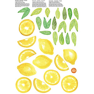 Wall Pops DWPK2940 Main Squeeze Wall Art Kit, Multicolor