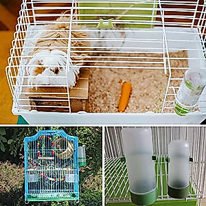 4 Pack Plastic Bird Water Dispenser Automatic Bird Cage Water Dispenser Food Drink Bowl for Cage Aviary Parrots Budgie Cockatiel Lovebirds 60ml Lovebirds