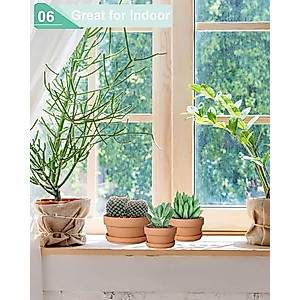vensovo 5.7 Inch Terracotta Shallow Succulent Pot - 6 Pack Terra Cotta Clay Pots with Saucer, Cacuts Terra-Cotta Indoor and Outdoor Planters with Drainage Hole