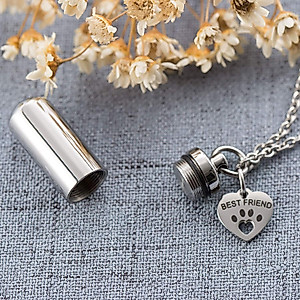 TTVOVO Pet Cremation Urn Necklace for Ashes Memorial Keepsake Ashes Holder Urn Locket Best Friend Dog Paw Urn Cylinder Necklace with Angel Wing Charm Pendant Necklace for Men Women Remembrance Jewelry