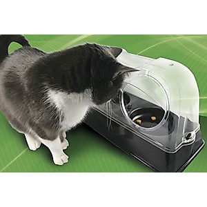 Felines Only - the Purrrfect Cat Dish - Veterinarian Designed Cat Feeding Bowl that Keeps Dogs Out of the Cat Food