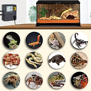 DIGITEN Temperature Controller with Timer Reptile Thermostat Timer Day Night Thermostat Outlet Greenhouse Thermostat Cooling Heating Mode Temperature Controlled Thermostat for Mushroom Fermentation