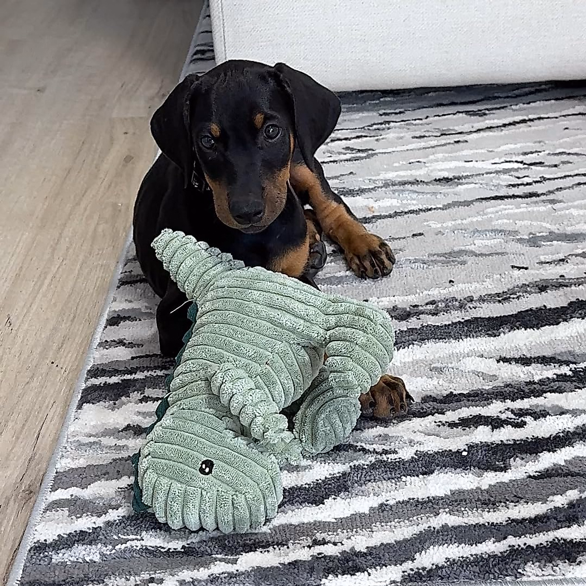 MORELIFE Naughty Dogs Dinos Plush Squeaky Toy | for Small Medium Large Dogs, All Dog Breeds, Green