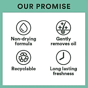 Batiste Shampoo Dry Sweetie 6.73 Ounce (200ml)