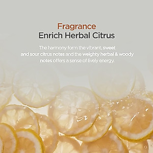 AYUNCHE Enrich Bonding Shampoo for Damaged Hair 11.8oz | No more Tangled Hair and Split Ends | Intensive Care | Korean Salon Brand