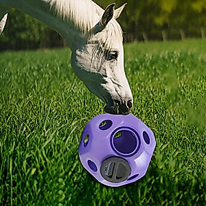 AMLESO Horse Treat Ball Hay Feeder Toy Ball Feeding Toy for Horse Sheep, Horse Stable Stall Paddock Rest, Purple