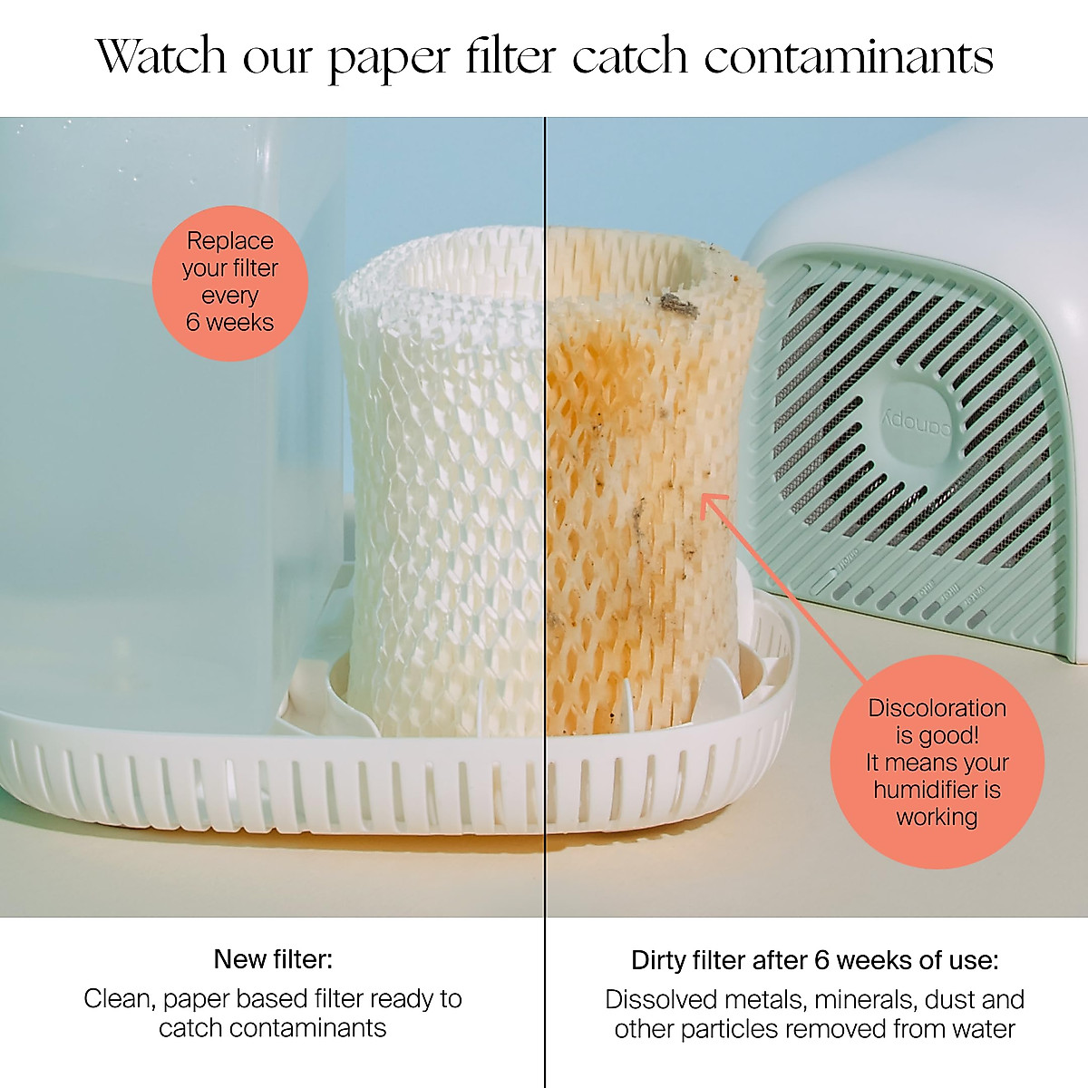 Canopy Humidifier PLUS Filters - HUMIDIFIER PLUS ONLY - DOES NOT FIT BEDSIDE OR NURSERY - Pack of 1 Filter - Made with Wood Pulp, Paper Filter, Replace Every Six Weeks