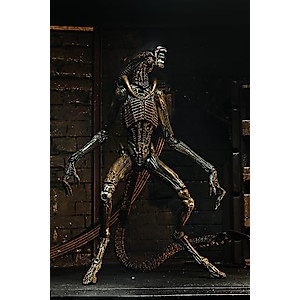 NECA Aliens Alien 3 Dog Alien Ultimate 7IN Action Figure