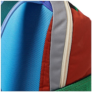 Cotopaxi Bogota 20L Backpack - Del Dia - One of A Kind!