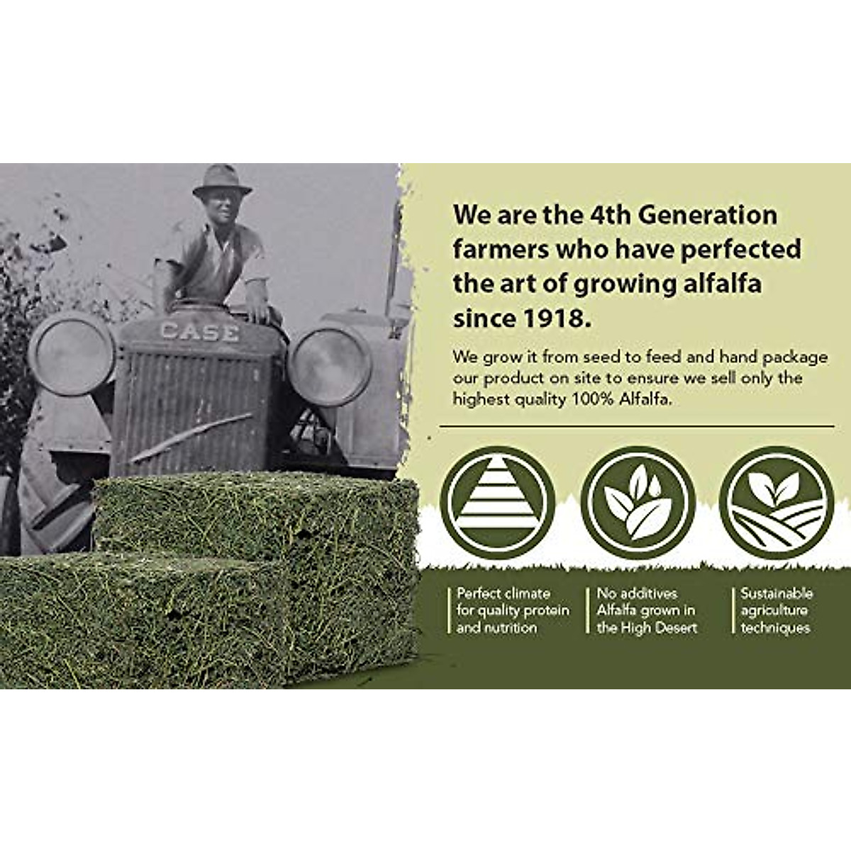 High Desert Alfalfa Hay - Dried Natural Alfalfa Hay for Rabbits, Guinea Pigs, Chinchillas, and Ferrets - Protein and Fiber Rich Food for Small Animals - Healthy Pet Food