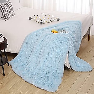 Wellber Super Soft Shaggy Longfur Faux Fur Blanket, Solid Reversible Lightweight Fuzzy Throw Blanket, Washable Warm Furry Throw Blanket for Couch Sofa Chair Home Decor, 50"x60" Ice Blue