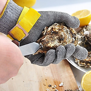 Dowellife Level 9 Cut Resistant Glove Food Grade, Stainless Steel Mesh Metal Glove Knife Cutting Glove for Butcher Meat Cutting Oyster Shucking Kitchen Mandoline Chef Slicing Fish Fillet (Medium)