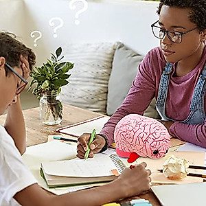 GIANTmicrobes Brain Plush, Brain Toy, Brain Stuffed Animal, Brain Gifts For Neurologist, Brain Surgery Recovery Gifts, Neurology Gifts, Neuroscience Gifts, Brain Injury Gift, Brain Decor, Biology Gift