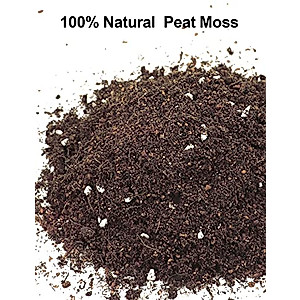 Sphagnum Peat Moss, Natural Bonsai Potting Mix, Succulent and Cactus Potting Soil, Organic Garden Growing Soil Amendment and Media, for Flowers, Vegetables, Herbs, Orchid, Indoor Houseplant, 3qt