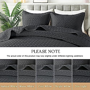 HYLEORY Quilt Set Full/Queen Size - Soft Lightweight Quilts Summer Quilted Bedspreads - Reversible Coverlet Bedding Set for All Season 3 Piece (1 Quilt, 2 Pillow Shams) - Dark Grey